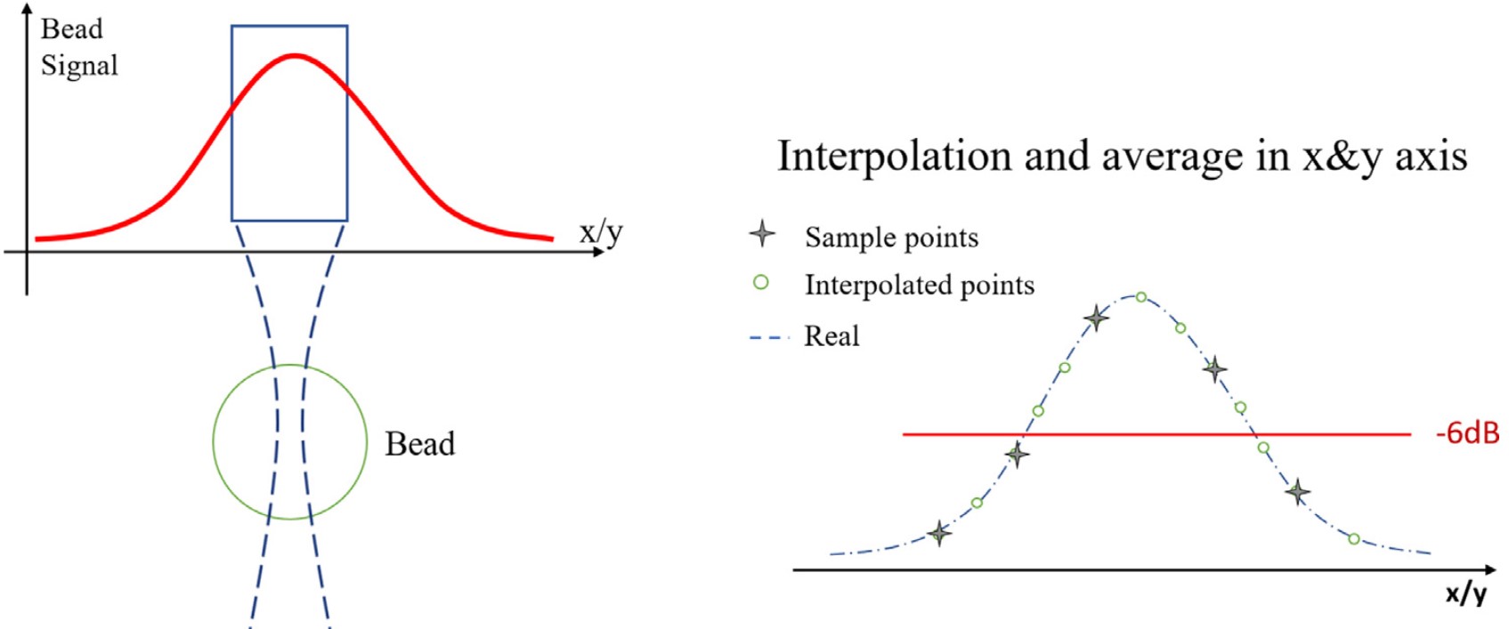 In Vivo Validation of an In Situ Calibration Bead as a Reference for Backscatter Coefficient ...